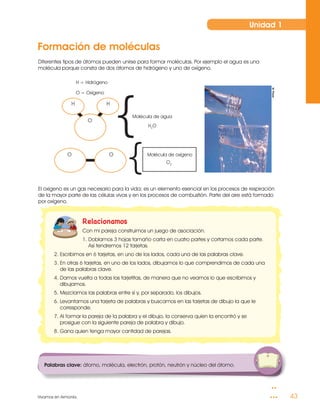 Ciencias 4to grado | PDF
