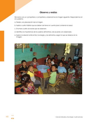 Ciencias 4to grado | PDF