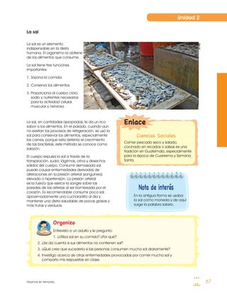 Ciencias 4to grado | PDF