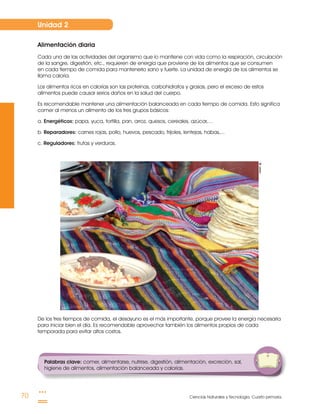 Ciencias 4to grado | PDF