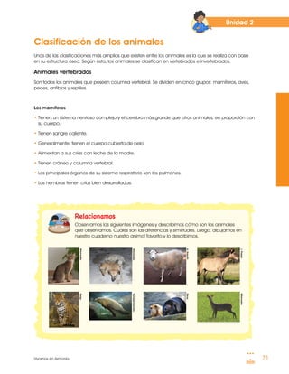 Ciencias 4to grado | PDF