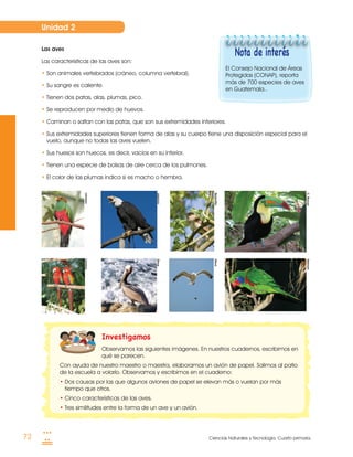 Ciencias 4to grado | PDF