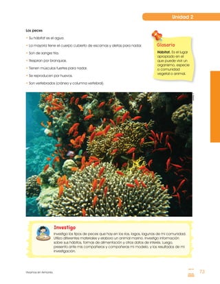 Ciencias 4to grado | PDF