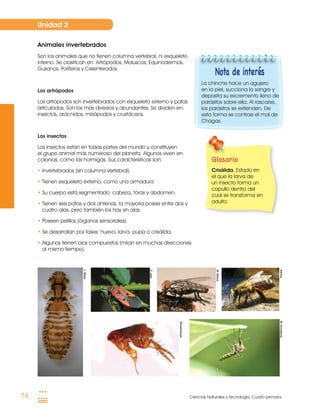 Ciencias 4to grado | PDF