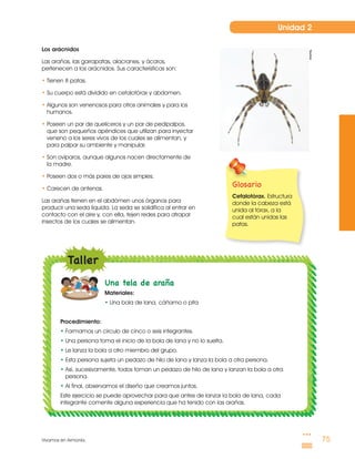 Ciencias 4to grado | PDF