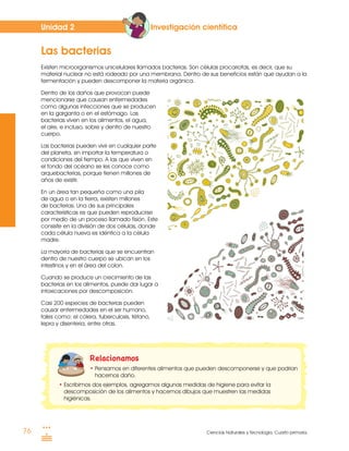 Ciencias 4to grado | PDF