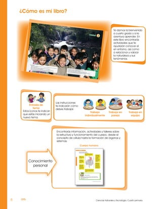 Ciencias 4to grado | PDF