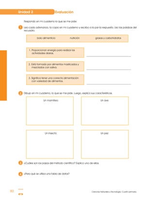 Ciencias 4to grado | PDF