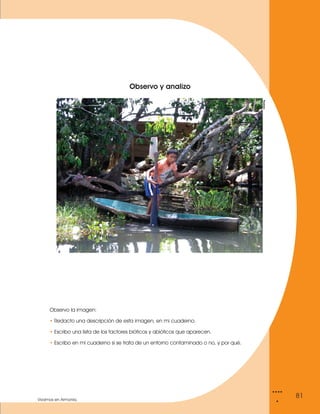 Ciencias 4to grado | PDF