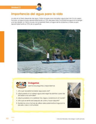 Ciencias 4to grado | PDF