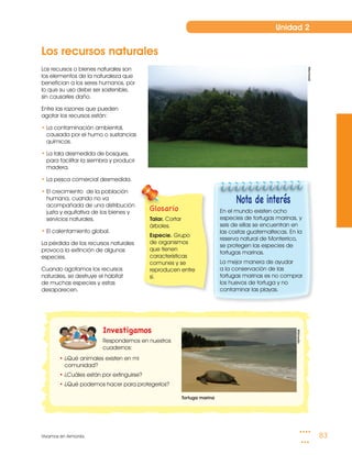 Ciencias 4to grado | PDF