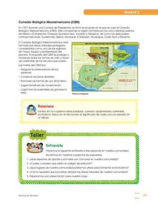 Ciencias 4to grado | PDF