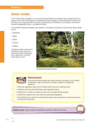 Ciencias 4to grado | PDF