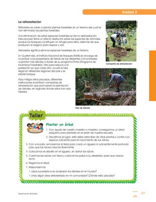 Ciencias 4to grado | PDF