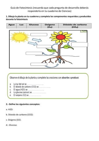 CIENCIAS 6º BÁSICO.pdf