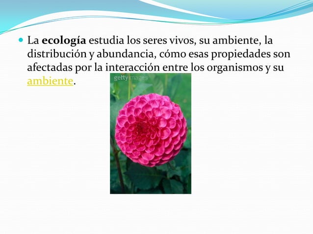Ciencias Auxiliares De La Botanica | PPT