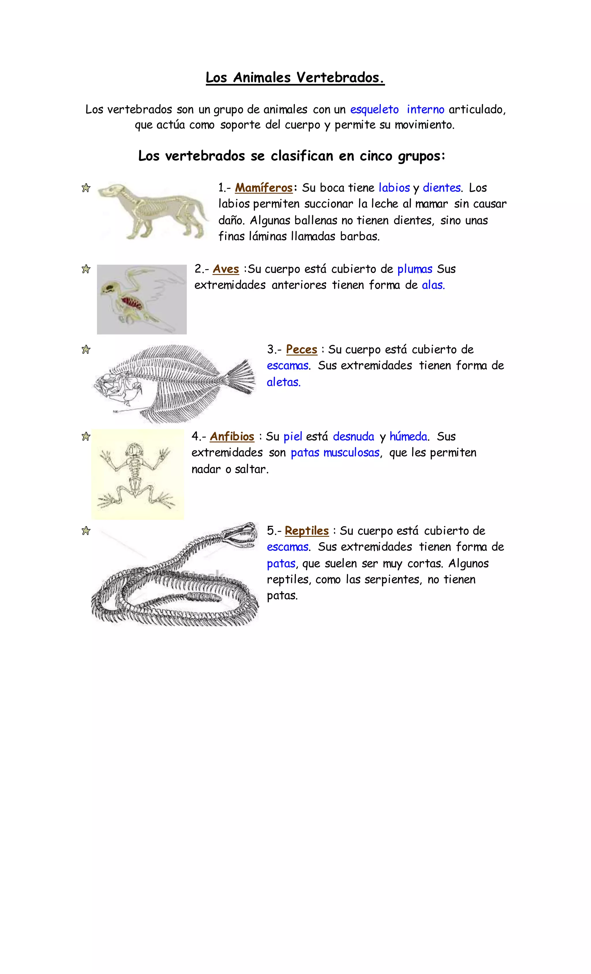 Ciencias clasificacion de los vertebrados | PDF