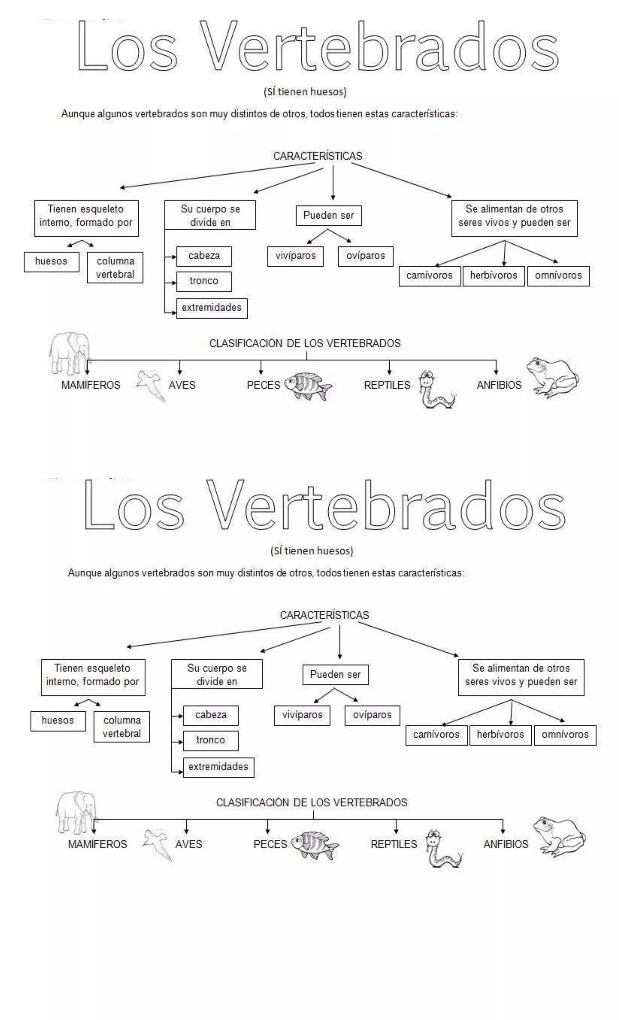 Ciencias clasificacion de los vertebrados | PDF