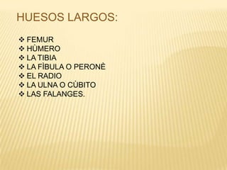 Ciencias de la saludcompleto | PPTX