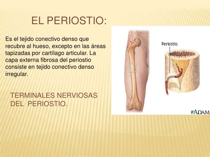 Ciencias de la saludcompleto