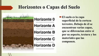 Ciencias de la Tierra. Tipos de suelos (1).pdf