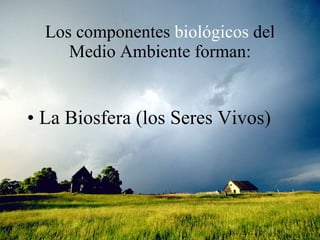 Ciencias de la tierra y del medio ambiente | PPS