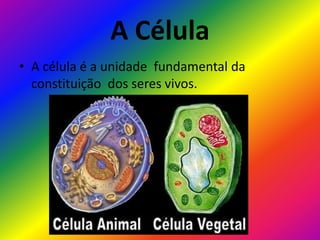 Ciencias naturais a.s.b.m células ( original ) | PPTX