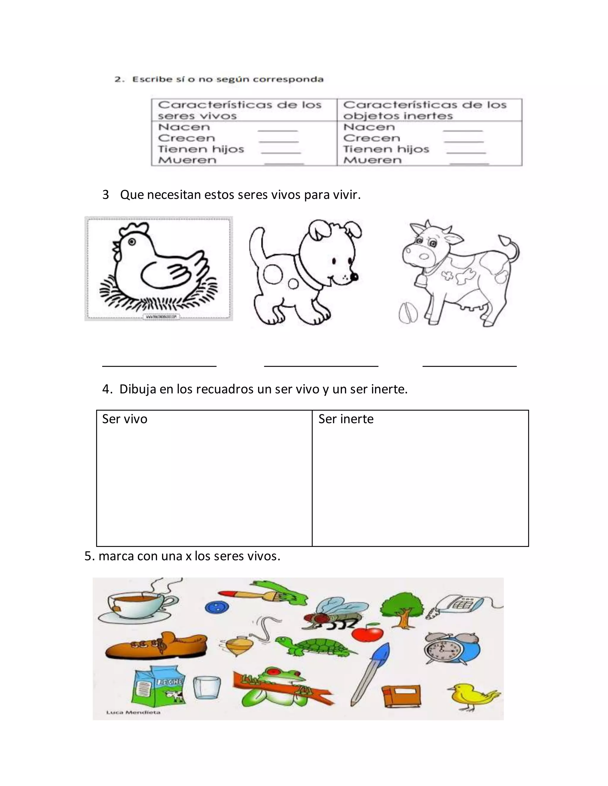 Ejercicio De Clasificacin Seres Vivos E Inertes Recycling Facts