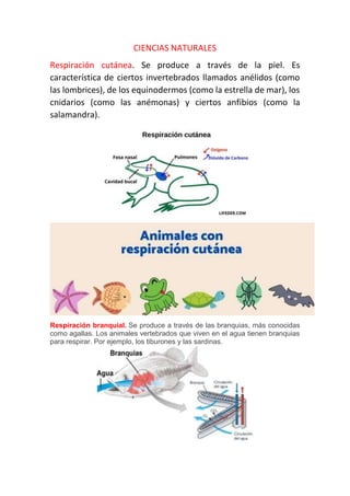 CIENCIAS NATURALES.docx