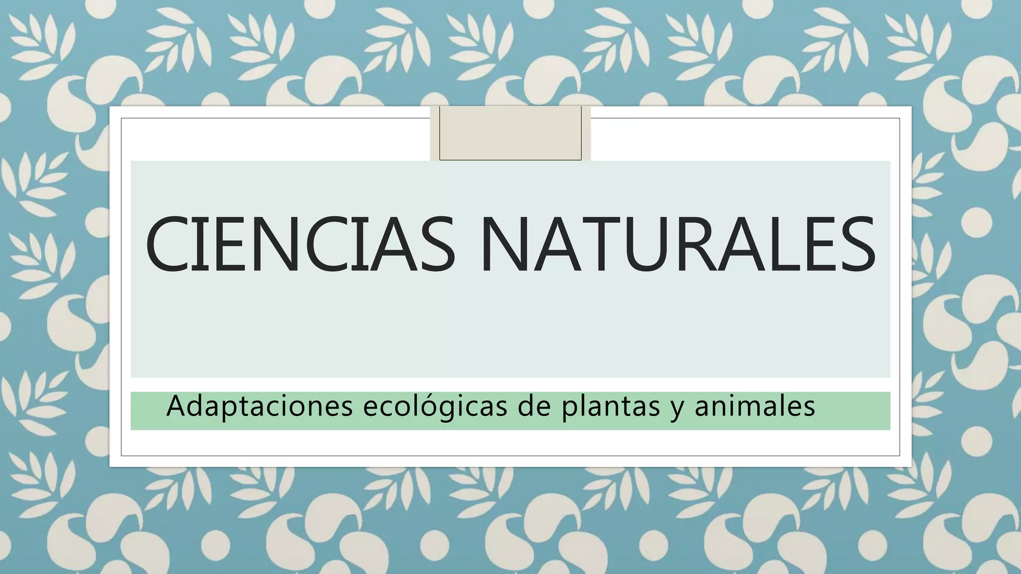 Ciencias naturales adaptaciones ecológicas de plantas y animales | PPTX ...
