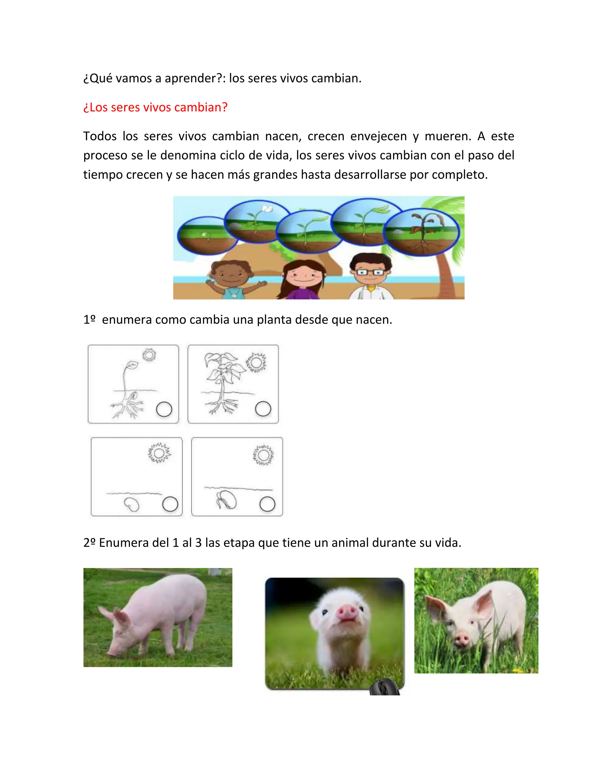 Ciencias Naturales 2 para grado segundo primaria | DOCX