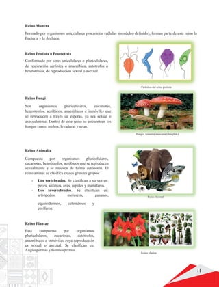 Ciencias naturales 1 ro sec segundo trimenstre | PDF
