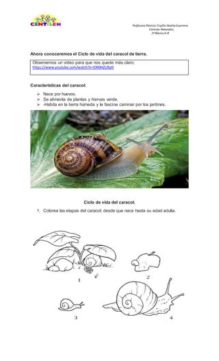 Ciencias naturales 2 | DOCX