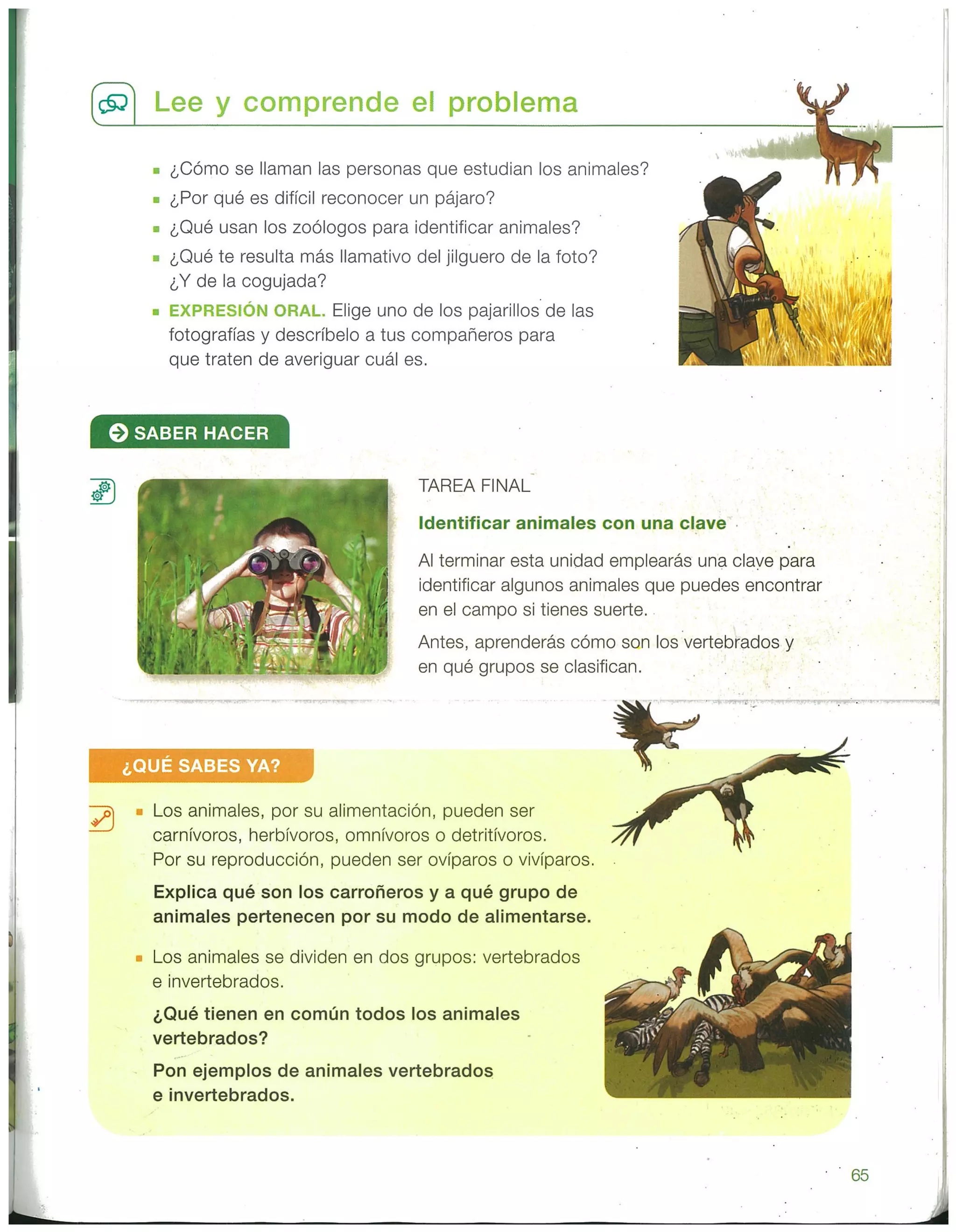 Unidad didáctica - Los animales vertebrados | PDF