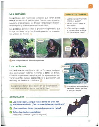 Unidad didáctica - Los animales vertebrados | PDF