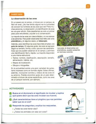 Unidad didáctica - Los animales vertebrados | PDF