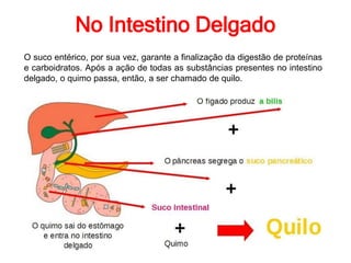 Ciencias sistema digestorio | PPTX