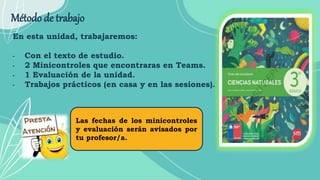 Ciencias unidad 4 plantas revisado | PPTX