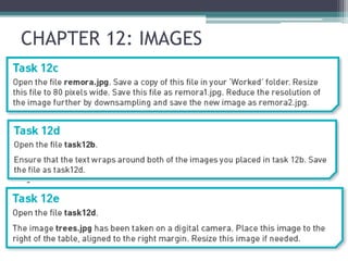 CIE IGCSE ICT Practical Session Notes 2023 | PDF
