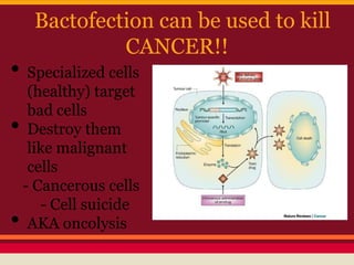 Cierra's biology presentation | PPTX | Infectious Diseases | Diseases ...