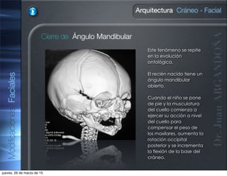 Cierre Ángulo Mandibular | PDF