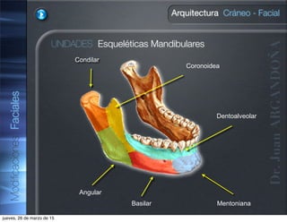 Cierre Ángulo Mandibular | PDF