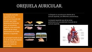 CIERRE PERCUTANEO DE OREJUELA IZQUIERDA.pptx