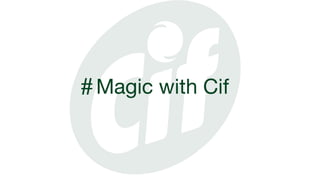 Cif Digital Campaign Case Study | PDF