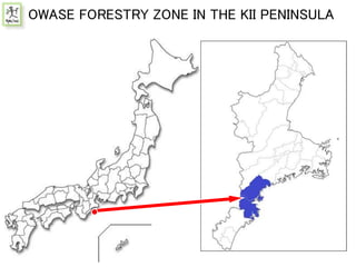 Japan Forest Owners suffering | PPT