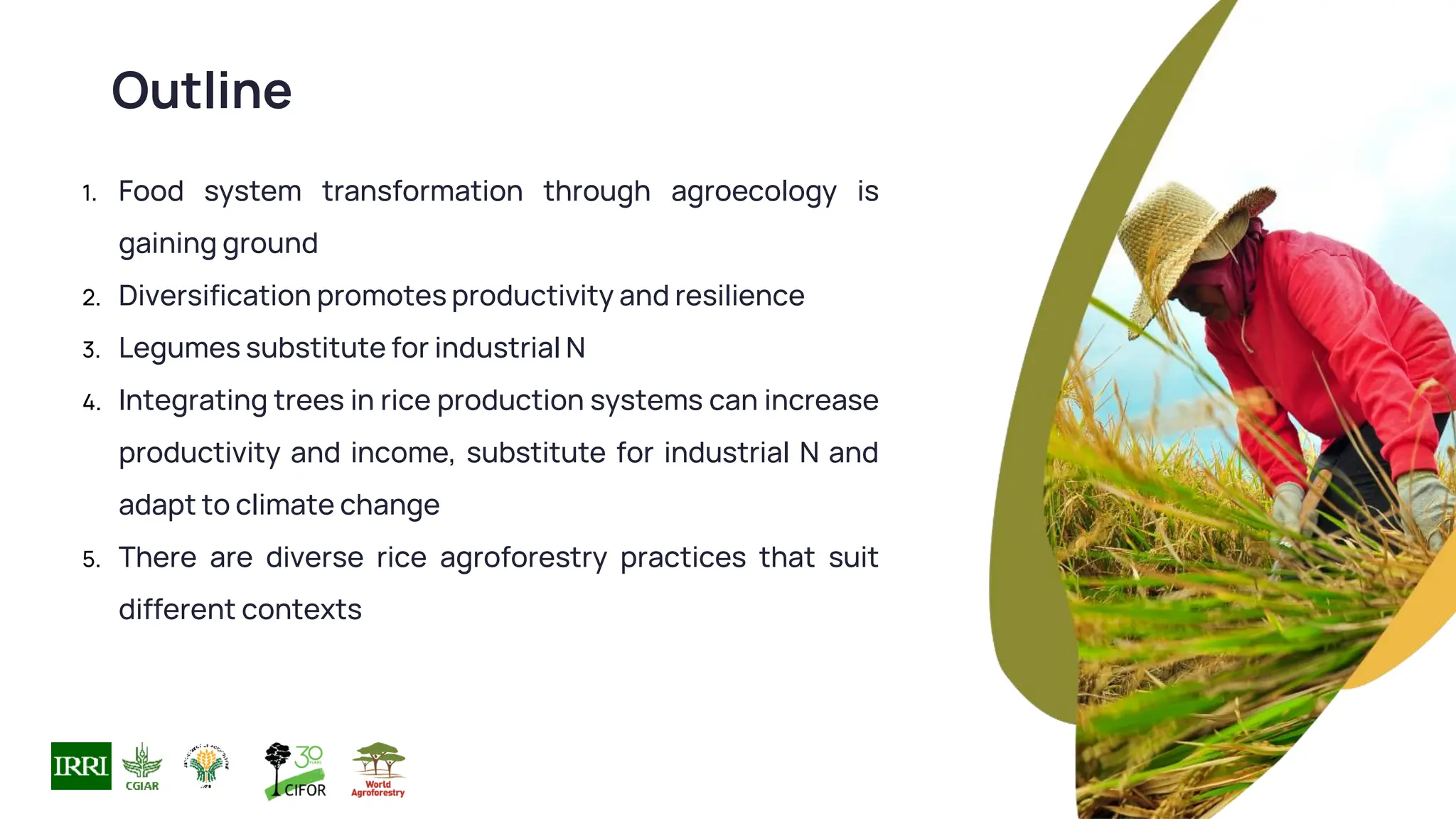 Rice agroforestry: How trees can accelerate agroecological transitions ...