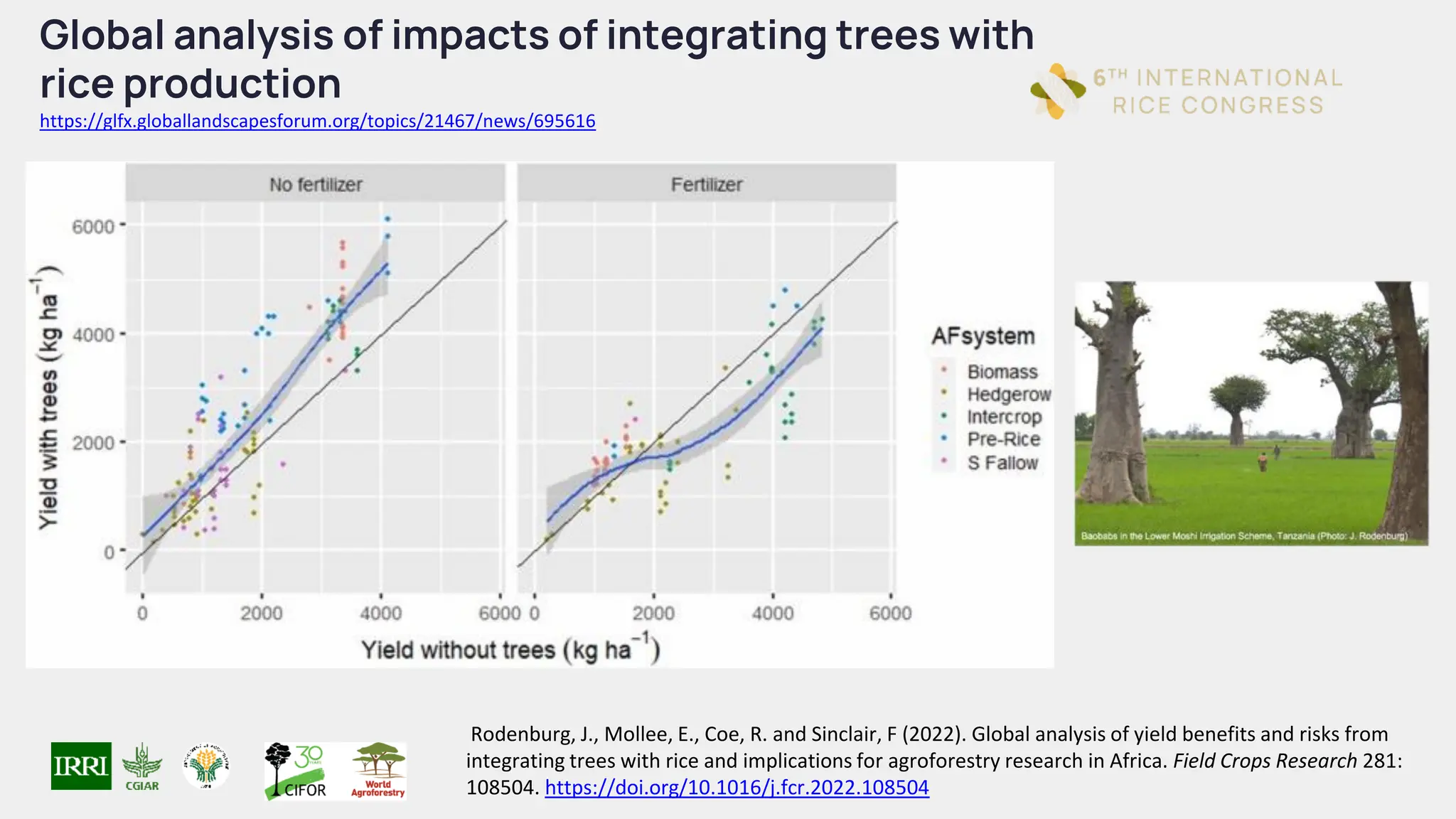 Rice agroforestry: How trees can accelerate agroecological transitions ...