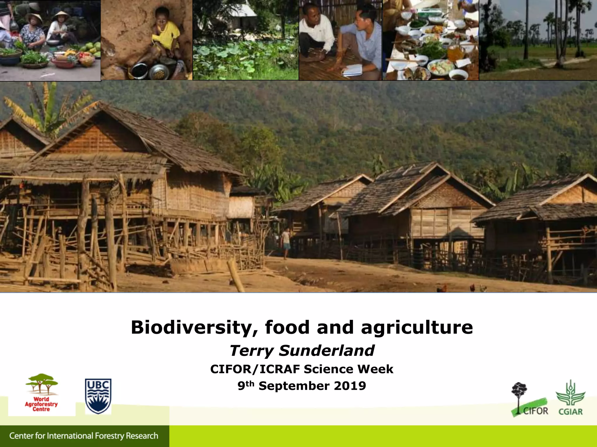 Biodiversity, food and agriculture | PPTX