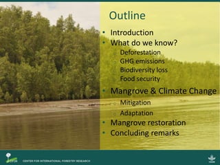 Blue carbon science for sustainable coastal development | PPTX