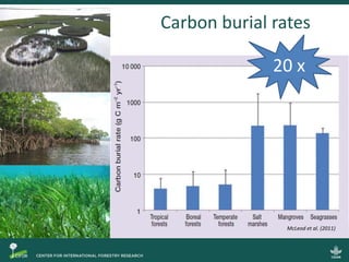 Blue carbon science for sustainable coastal development | PPTX
